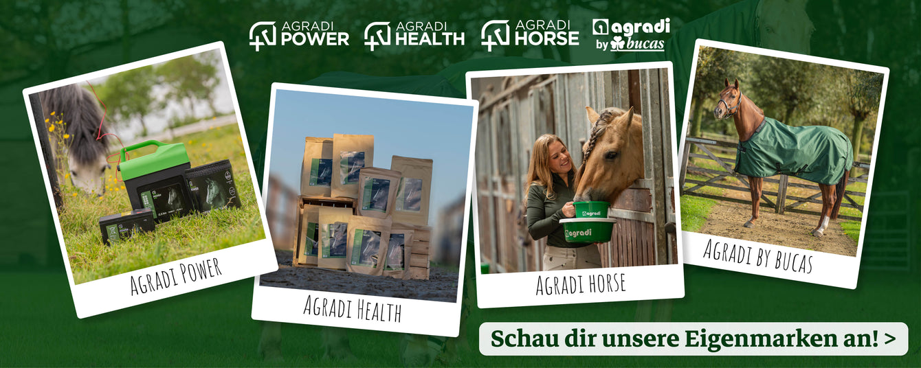 Agradi.at: Online Shop für Reitsport. Große Auswahl für Pferd & Reiter
